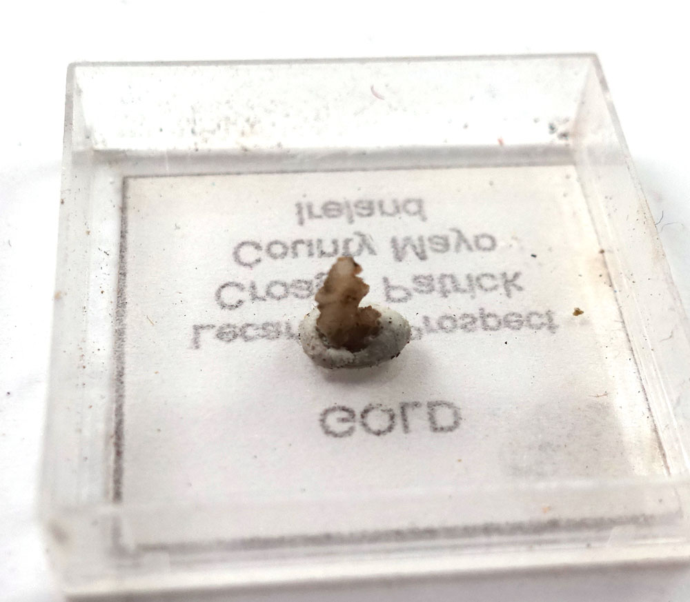 Irish Gold Bearing Quartz