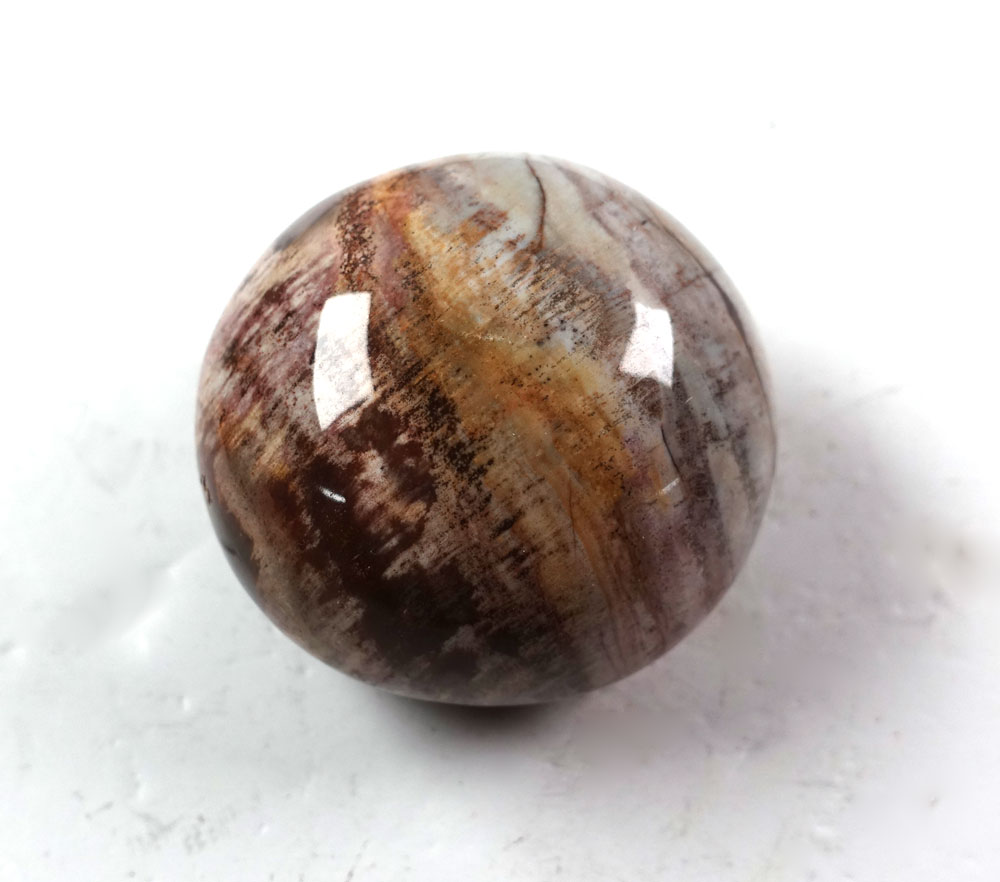 Fossil Wood Polished Pebble